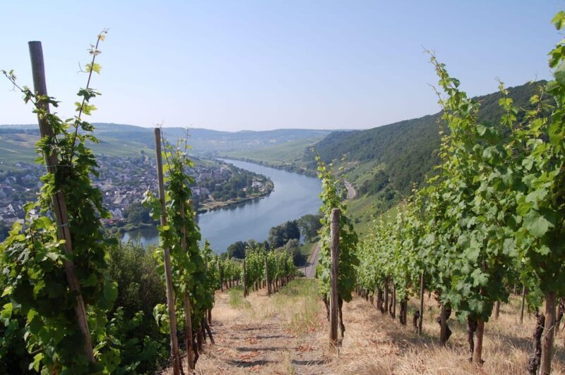 Cochem, Moselle: Wine experience hike with boat - Final Thoughts