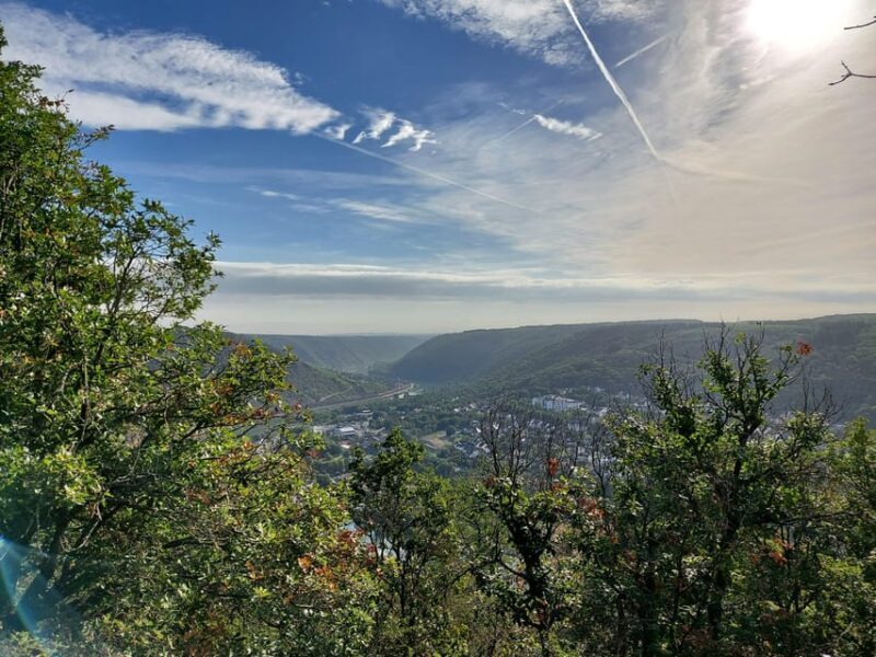 Cochem, Moselle: Wine experience hike with boat trip - Exploring the Vineyards with a Local Winemaker