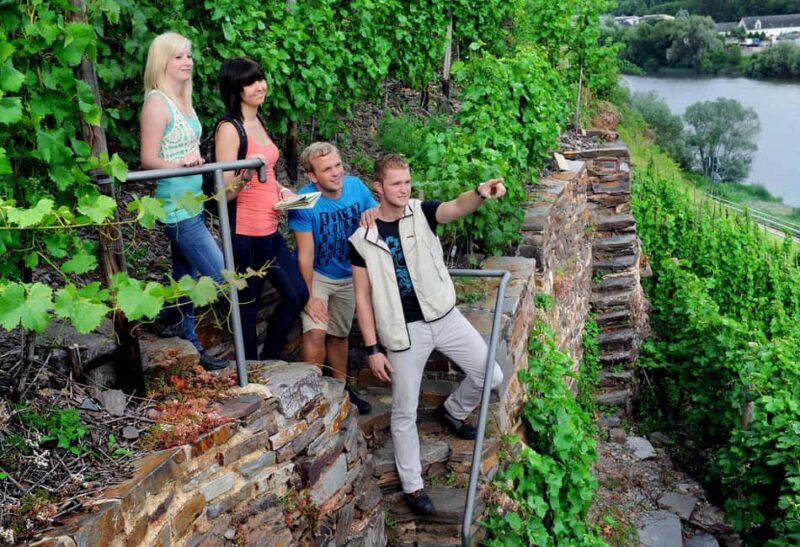 Cochem, Moselle: Wine experience hike with boat trip - Transportation and Logistics