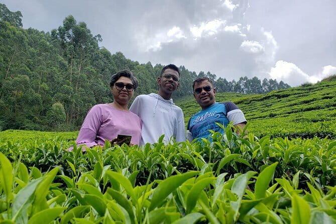 Cochin Airport Transfer(Private) - In-Depth Look at the Experience