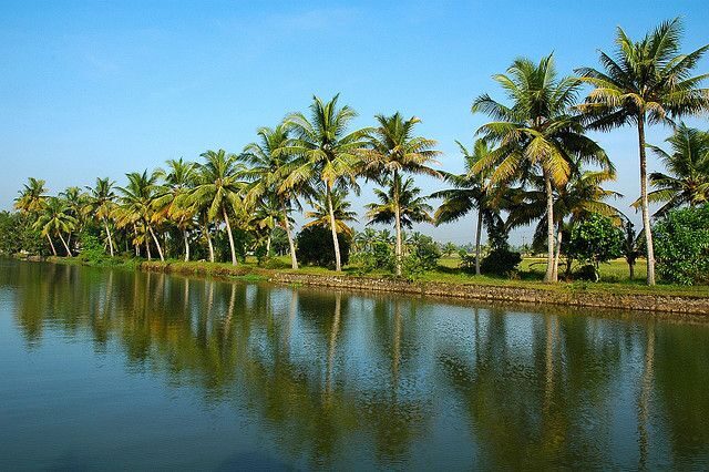 Cochin : Alleppey/Alappuzha Backwater Canoe (Shikara) Cruise - Key Points