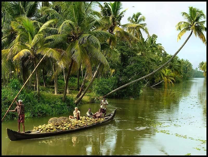 Cochin: Alleppey Backwater Private Day Cruise by Houseboat - The Itinerary in Detail