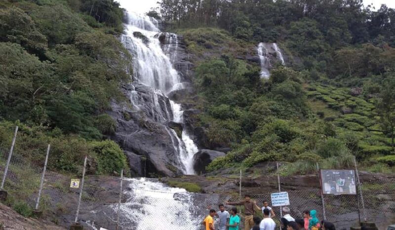 Cochin: Alleppey Backwater Private Day Tour with Houseboat - A Gentle Introduction to Kerala’s Backwaters