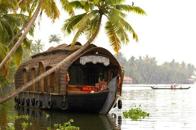 Cochin City or Backwater Shore Excursions from Cruise Terminal - What Makes This Tour Stand Out