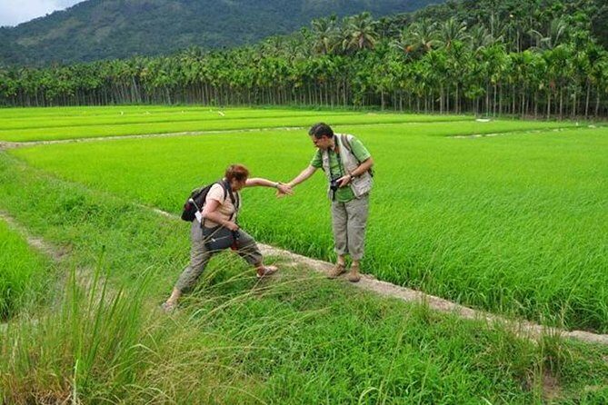 Cochin Heritage Tour With Alleppey Houseboat Cruise - The Sum Up