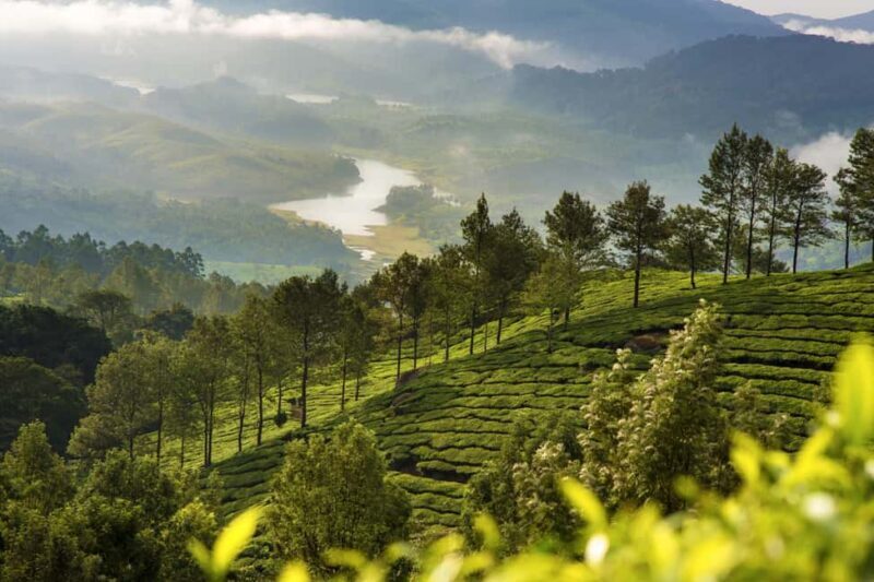Cochin: Munnar Hill Station Tea Garden Overnight Tour - What Makes This Tour Stand Out?