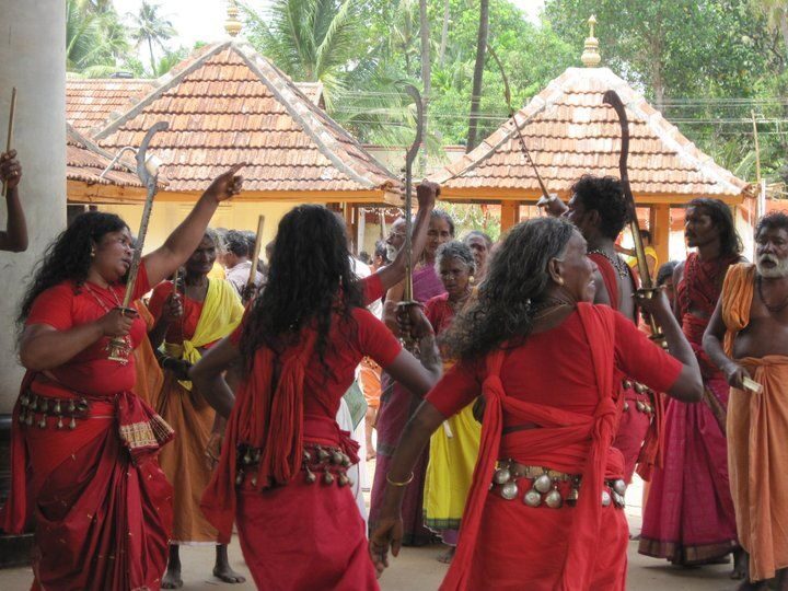 Cochin shore excursion with Lijo Jose - Practical Details and Value