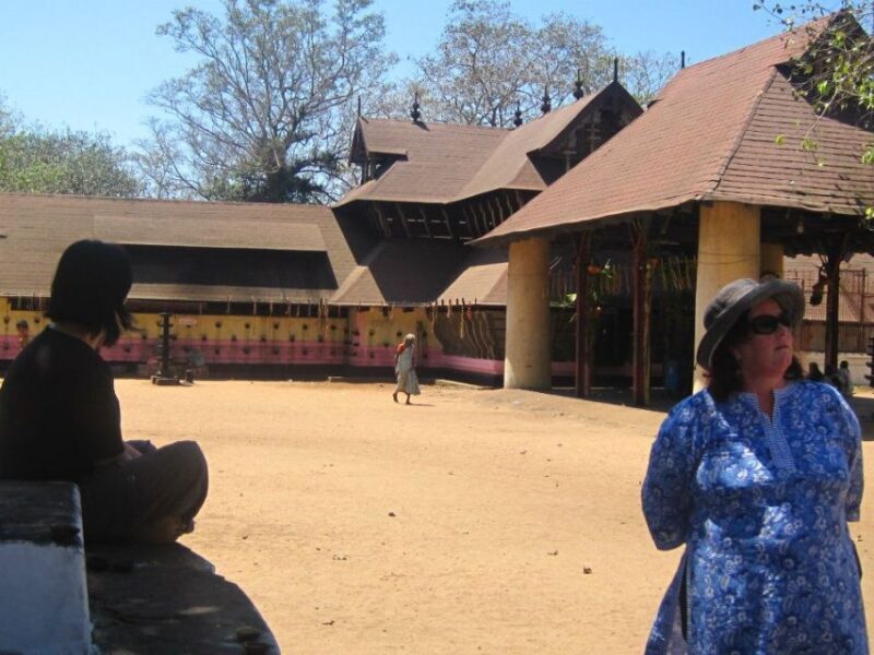 Cochin shore excursion with Lijo Jose - Who Will Enjoy This Tour?