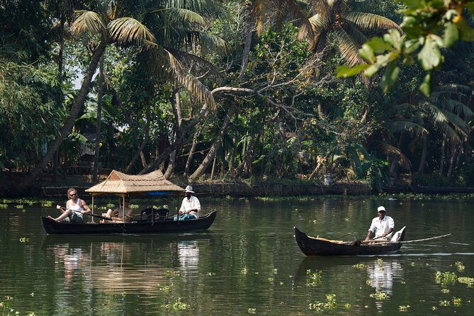Cochin to Alleppey & Marari Beach (3 Days) - The Experience in Detail