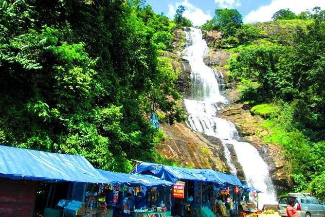 Cochin to Munnar Day trip - Detailed Itinerary and Highlights