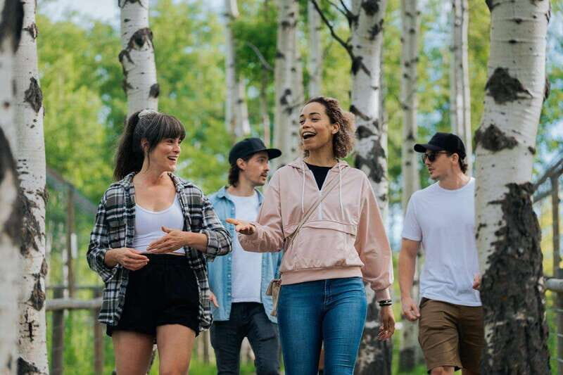 Cochrane: Yamnuska Wolfdog Sanctuary Tour - Key Points