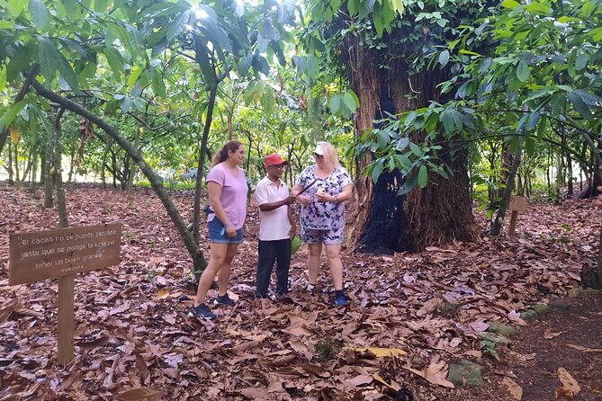 Cocoa & Artisan Chocolate Route with an Historical Tour in Puerto Plata City - Analyzing the Value: Is it Worth $98?