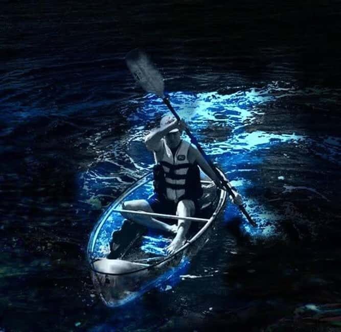 Cocoa Beach: Clear Kayak Bioluminescence Tour - An In-Depth Look at the Bioluminescence Tour Experience