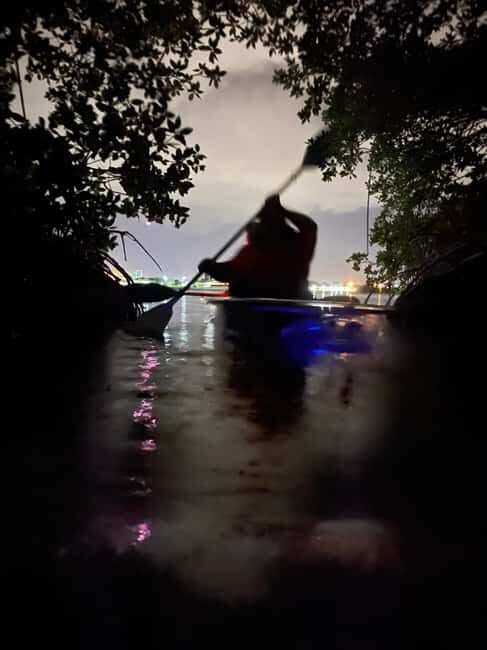 Cocoa Beach: Clear Kayak Sunset & Bioluminescence Tour - What We Love About the Tour