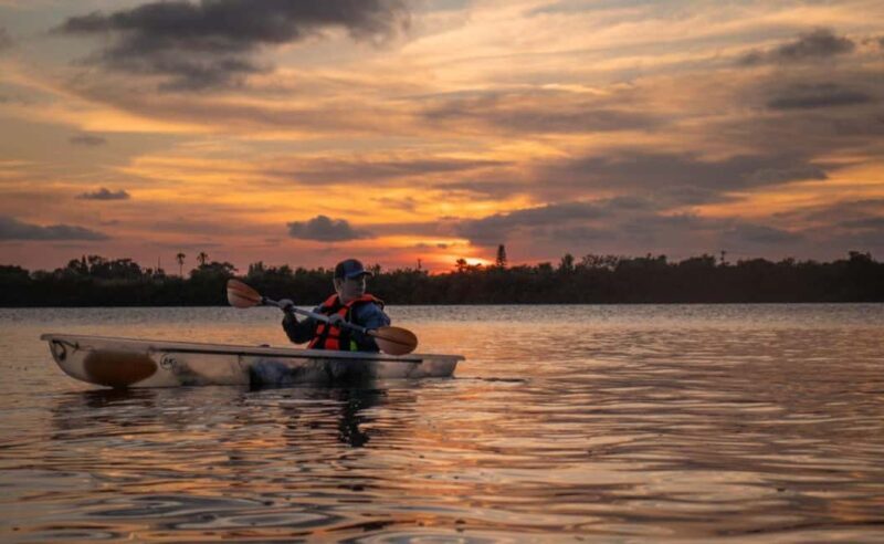 Cocoa Beach: Clear Kayak Sunset & Bioluminescence Tour - The Value in the Experience