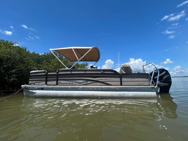 Cocoa Beach: Dolphin & Manatee Pontoon Cruise - Who Should Consider This Tour