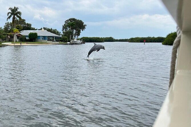 Cocoa Beach Dolphin Tours on the Banana River - The Sum Up