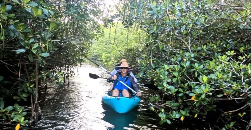 Cocoa Beach/Merritt Island: Guided Dolphin and Manatee Tour - What Makes This Tour Special