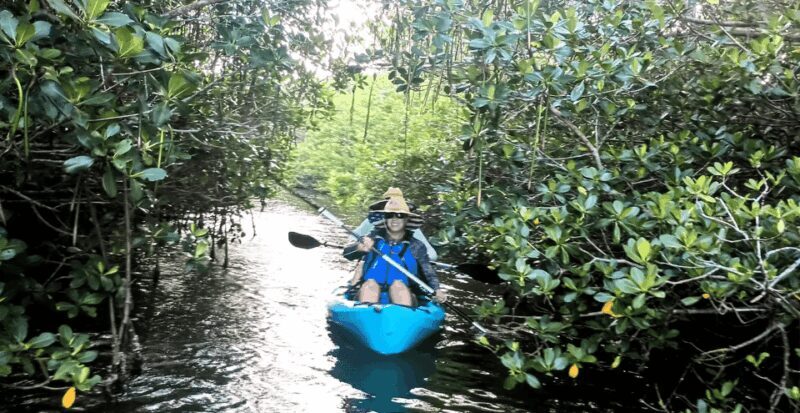 Cocoa Beach/Merritt Island: Guided Dolphin and Manatee Tour - The Experience’s Practical Aspects