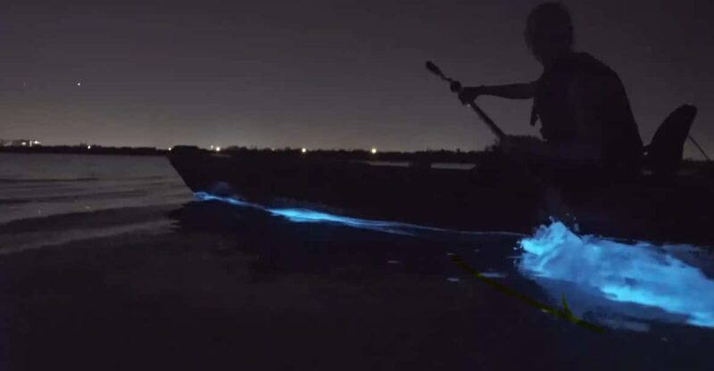 Cocoa Beach/Merritt Island:Bioluminescent kayak tour - The Practical Aspects and Value