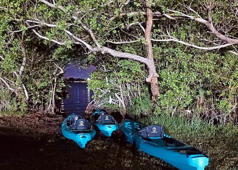 Cocoa Beach/Merritt Island:Bioluminescent kayak tour - The Sum Up
