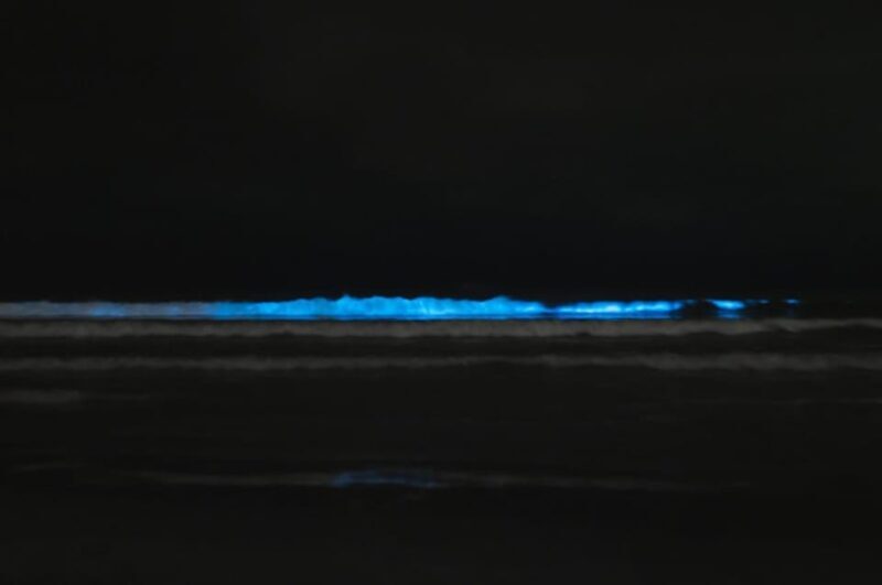 Cocoa Beach/Merritt Island:Bioluminescent kayak tour - FAQ