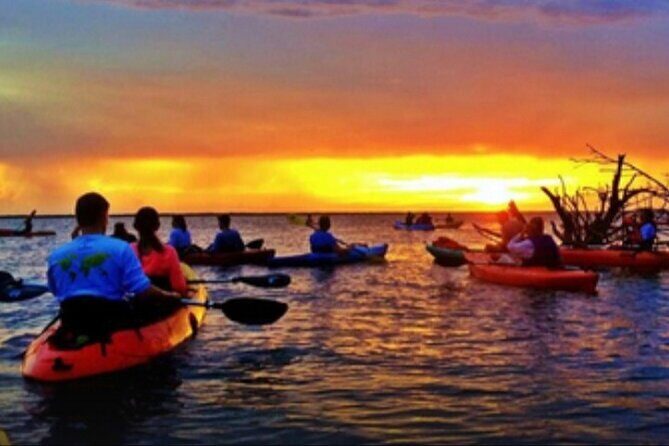 Cocoa Beach Night Time Bioluminescence Kayak Tour - The Practical Side: Costs, Timing, and Booking
