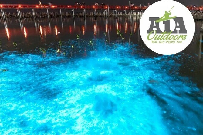Cocoa Beach Night Time Bioluminescence Kayak Tour - Considerations and Tips