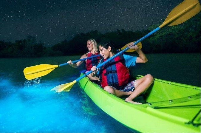 Cocoa Beach Night Time Bioluminescence Kayak Tour - Who Will Love This?