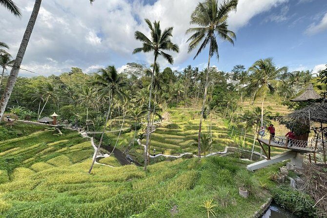 coconut wine and coffee safary tour - Final Thoughts