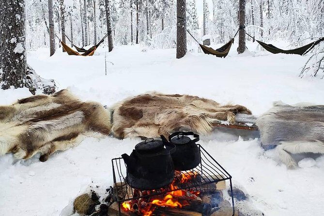 Cocooning in the HaliPuu forest: The ultimate Arctic hammock relaxation - Key Points