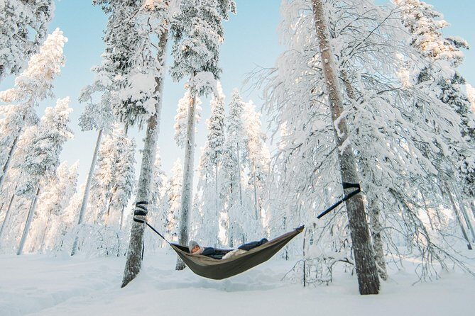Cocooning in the HaliPuu forest: The ultimate Arctic hammock relaxation - A Detailed Look at What to Expect