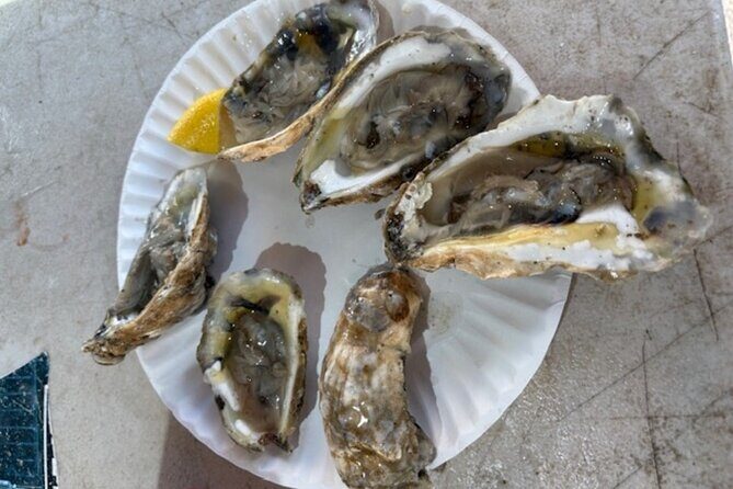 Cod, Tea and Candy a Boston Food History Walking Tour - What to Expect at Each Stop