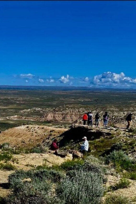 Cody: Red Canyon Wild Mustang Tour - Practical Details and What to Bring