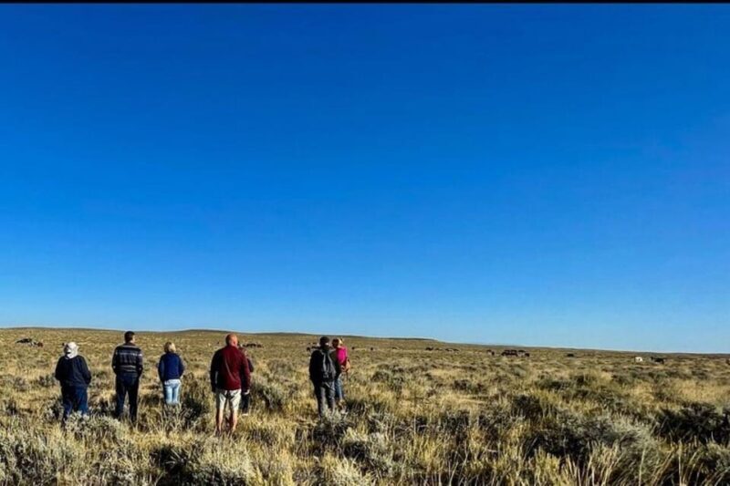 Cody: Red Canyon Wild Mustang Tour - Who Will Love This Tour?