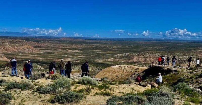 Cody: Red Canyon Wild Mustang Van or Bus Tour - Cody: Red Canyon Wild Mustang Van or Bus Tour – A Deep Dive