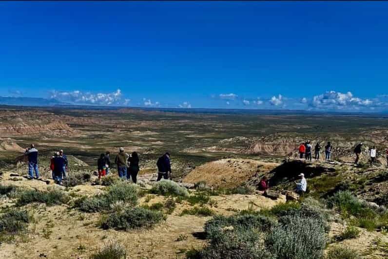 Cody: Red Canyon Wild Mustang Van or Bus Tour - Why We Love This Tour