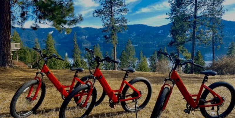 Coeur dAlene: E-Bike Rental - Who Will Love This Experience?