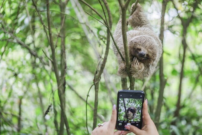 Coffee & Chocolate Tour+Sloths Park & Llanos de Cortez Waterfall - Starting Bright and Early