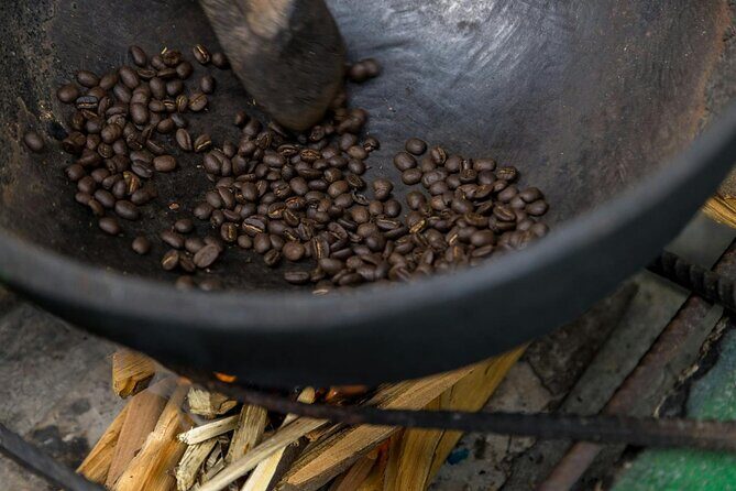 Coffee Farm Hike Through Jamaica Blue Mountains from Ocho Rios - A Closer Look at the Tour Experience