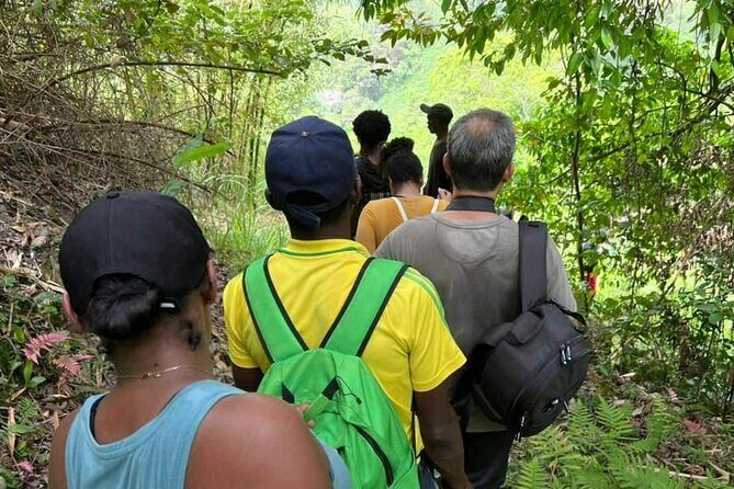 Coffee Farm Hike Through Jamaica Blue Mountains from Ocho Rios - Final Thoughts