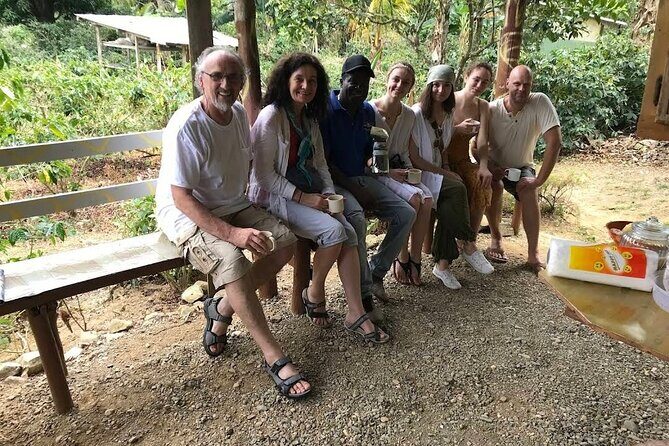 Coffee Farm Tour from Port Antonio - Transportation and Group Size
