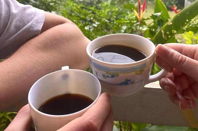 Coffee Farm Tour from Port Antonio - Who Is This Tour Best For?