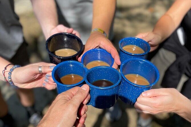 Coffee Hike to Three Waterfalls in DuPont State Forest - Authentic Feedback from Travelers