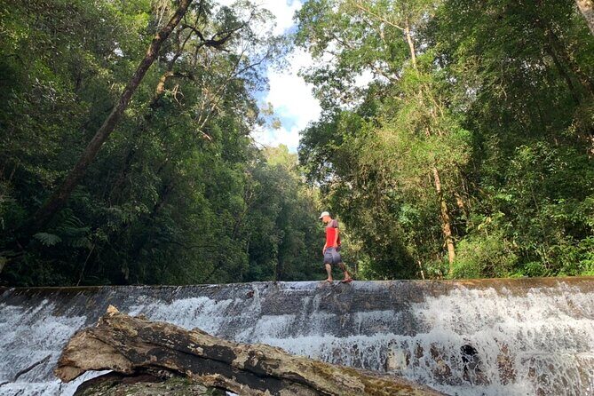 Coffee Lovers Farm and Roasting Tour - A Detailed Breakdown of the Coffee Lovers Farm and Roasting Tour