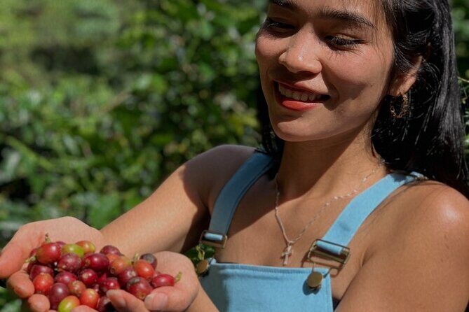 Coffee Lovers Farm and Roasting Tour - Who Will Love This Tour?