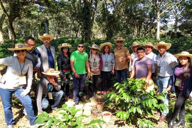 Coffee Museum and Coffee Tour el Cafe-tal apan - Final Thoughts