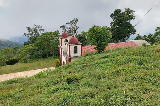 Coffee Plantation Experience - Who Will Love This Tour?