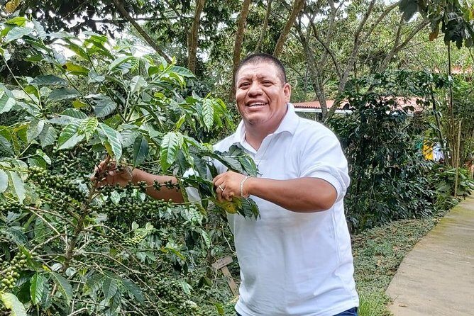 Coffee Plantation Experience - FAQs