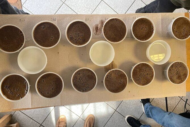 Coffee Sensory Training in Ljubljana - Key Points